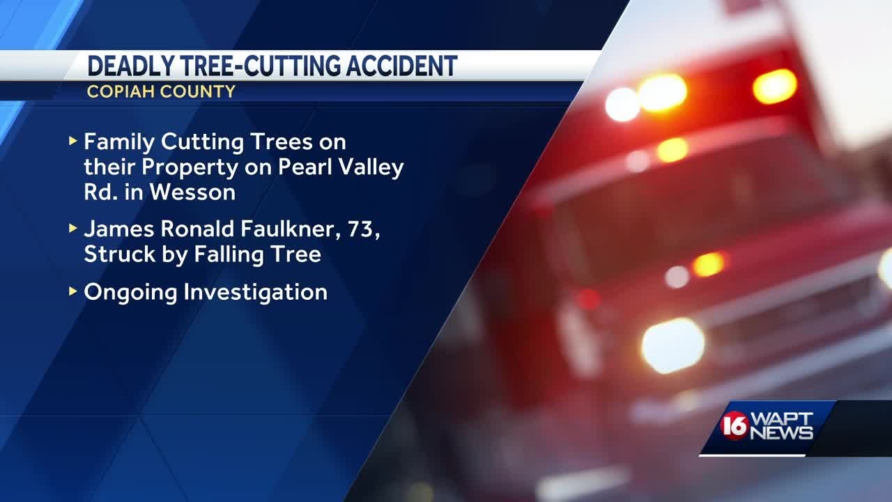 Copiah County man dies in tree-cutting accident - YouTube