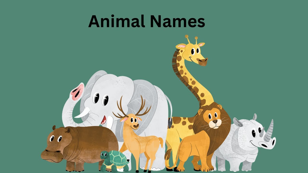 Animals Vocabulary ll 200 Animals Name In English With Pictures ll All ...