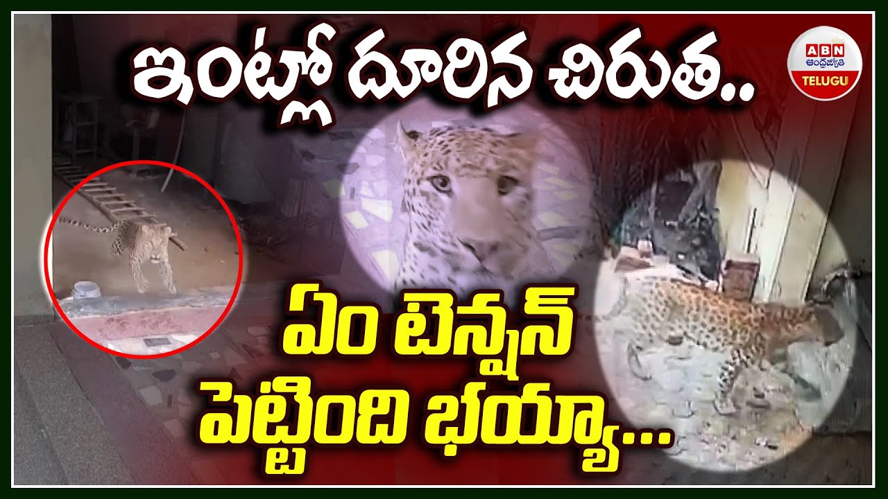 Leopard Enters House In Gurugram Village | Leopard Video Goes Viral ...