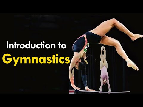 Introduction To Gymnastics | Guide To Gymnastics | The Art of Body ...