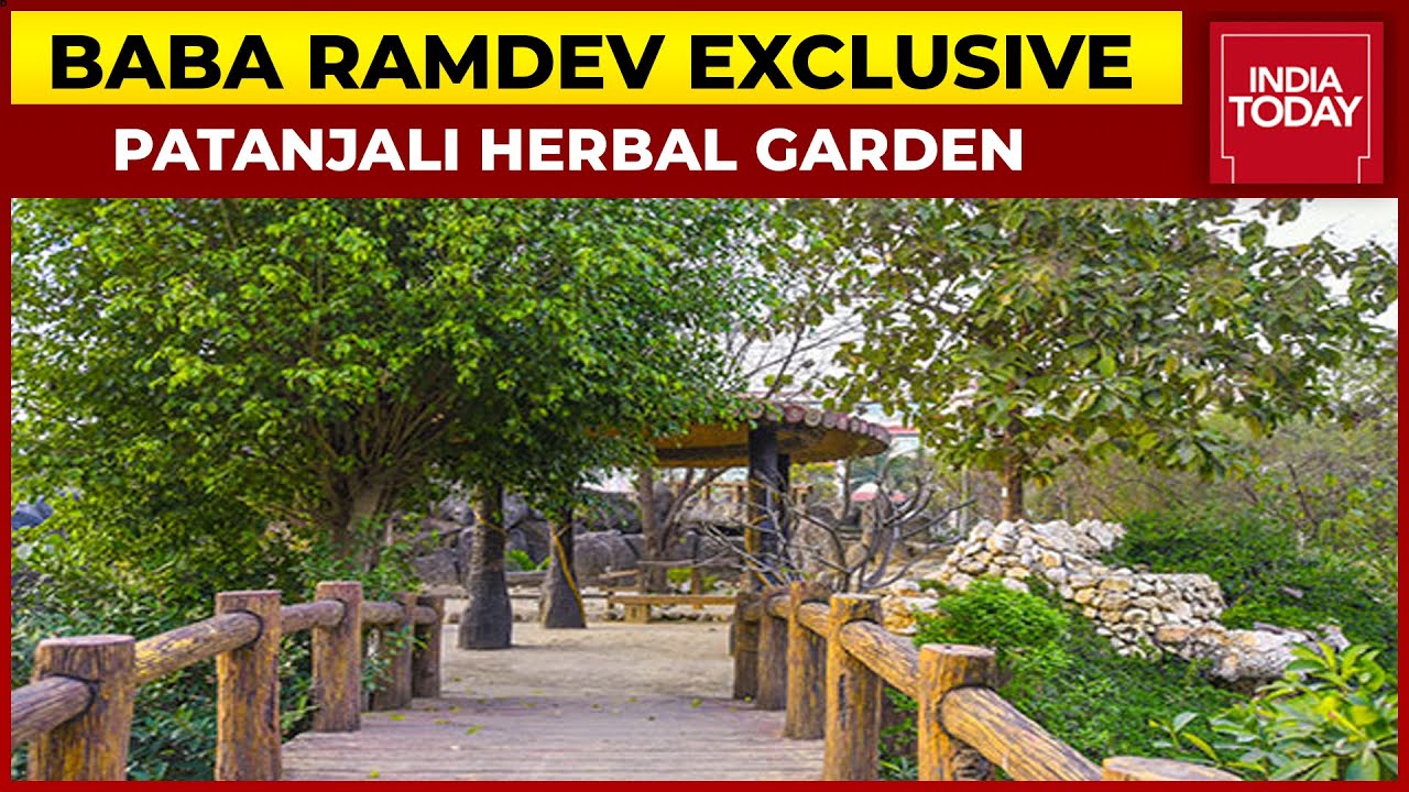 Inside Baba Ramdev's Patanjali Herbal Garden That Consists 1,000 Plants ...