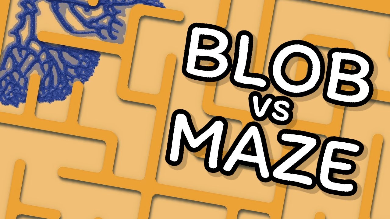 MESMERISING Maze Solving BLOB - YouTube