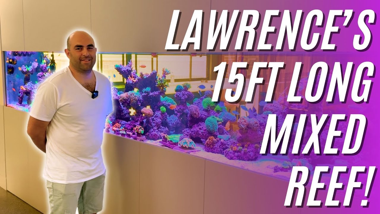 Lawrence's 15 Foot Long First Ever Reef Tank!?! - YouTube