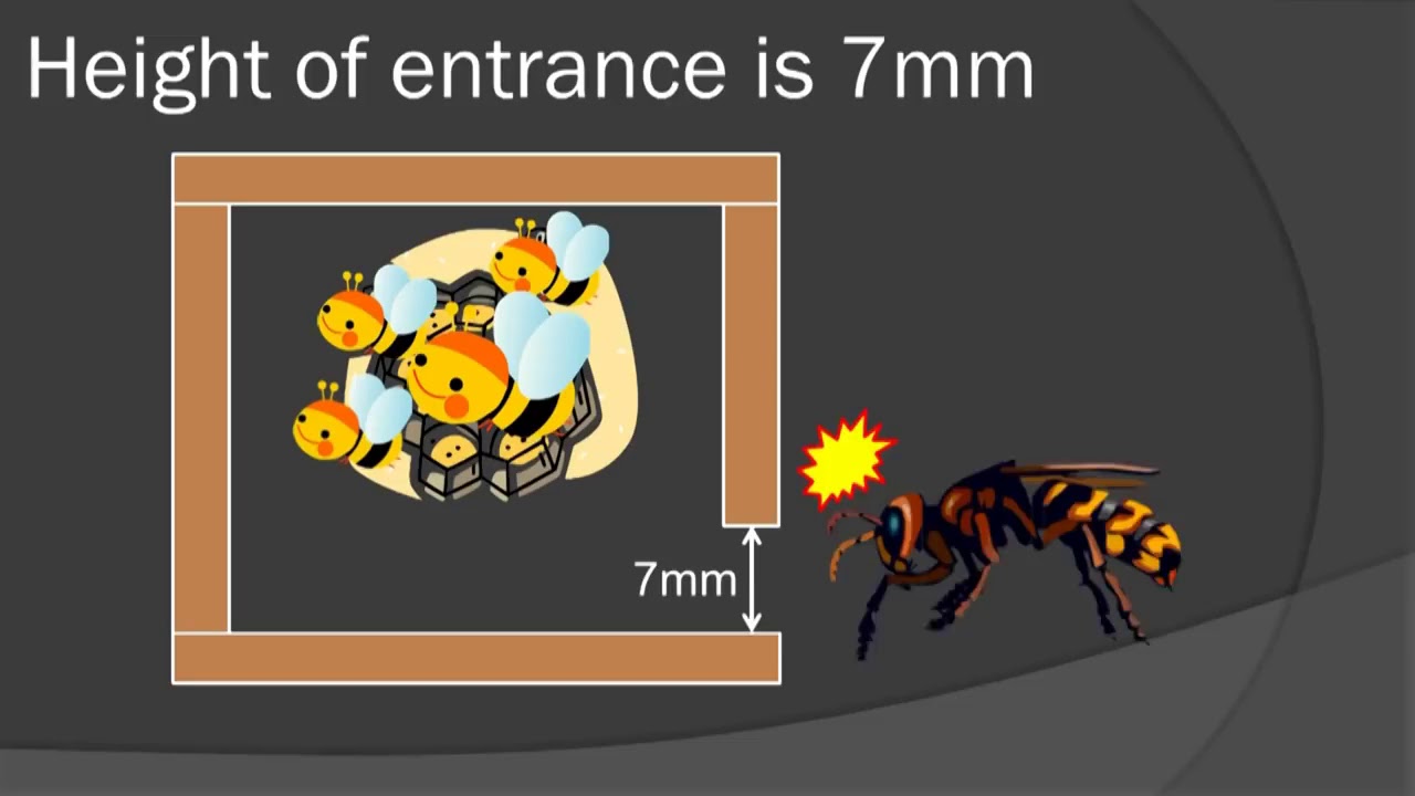 【Part4】How to make traditional bee hive of Japanese honeybee - YouTube
