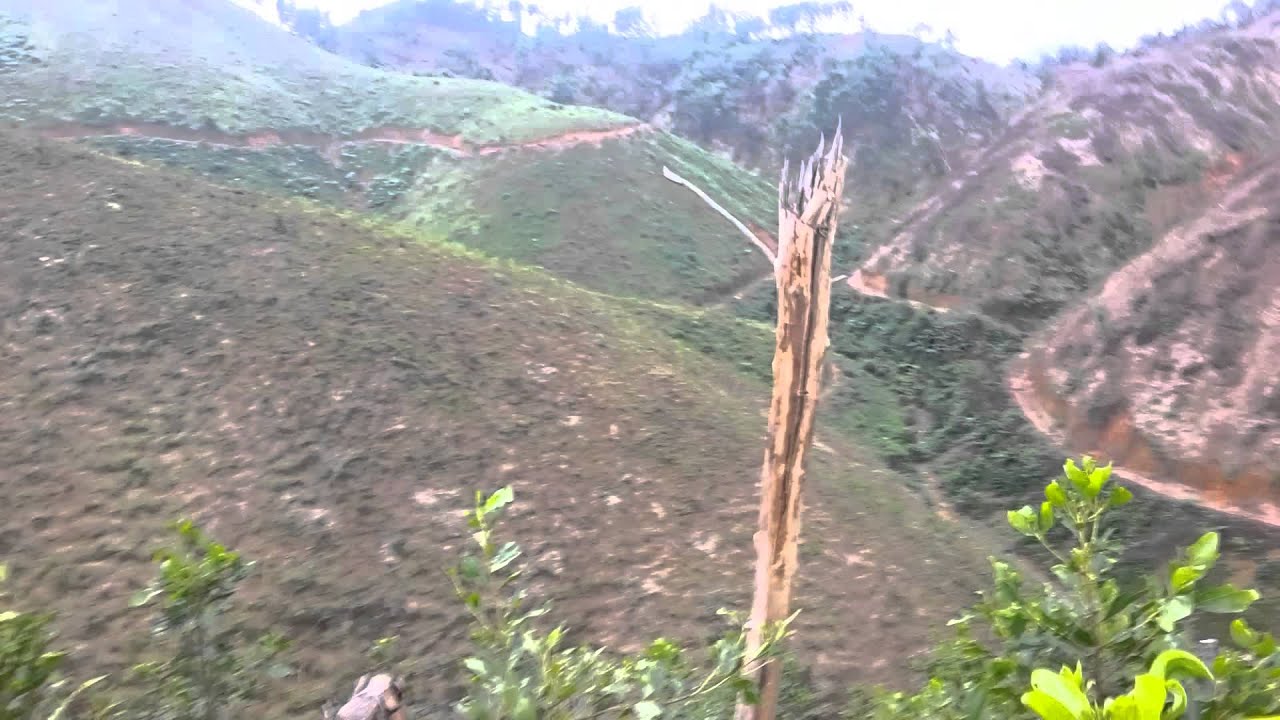 Dat trong cay - YouTube