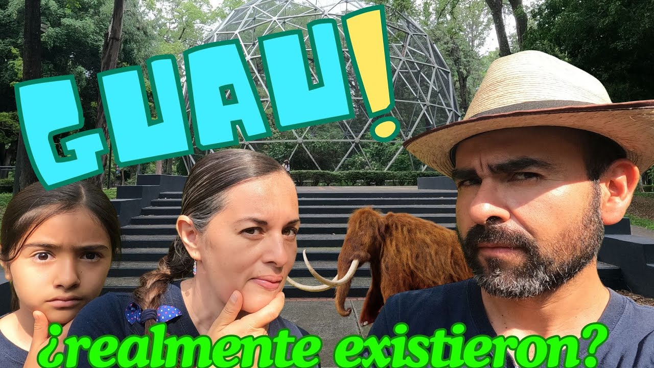 VISITANDO EL MUSEO DE PALEONTOLOGIA EN EL PARQUE AGUA AZUL DE ...