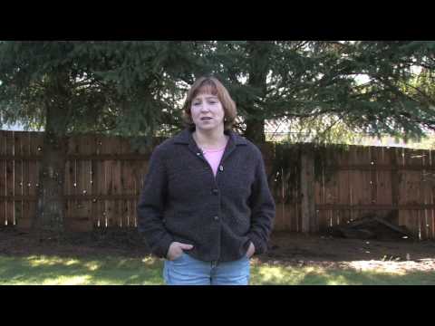 How To Grow Grass In Shade Under Pine Trees