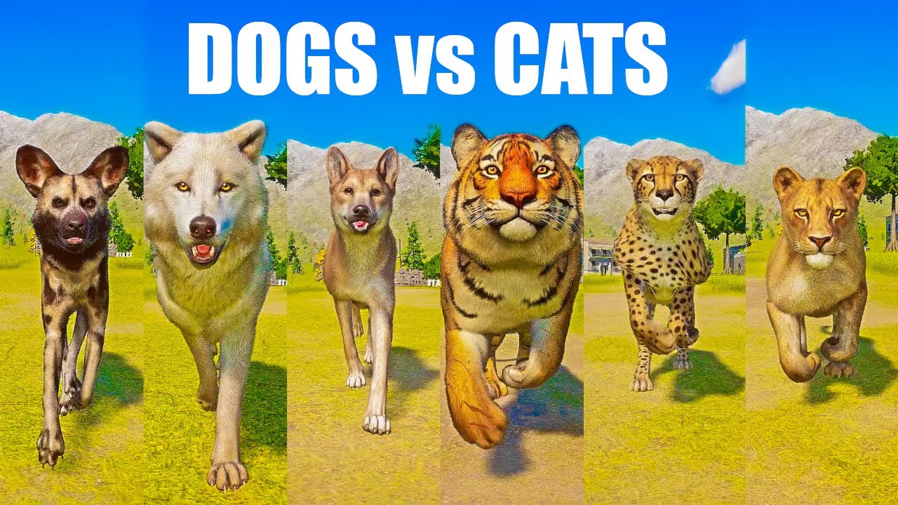 Big Dogs vs Big Cats Speed Races in Planet Zoo included Dingo, Tiger ...