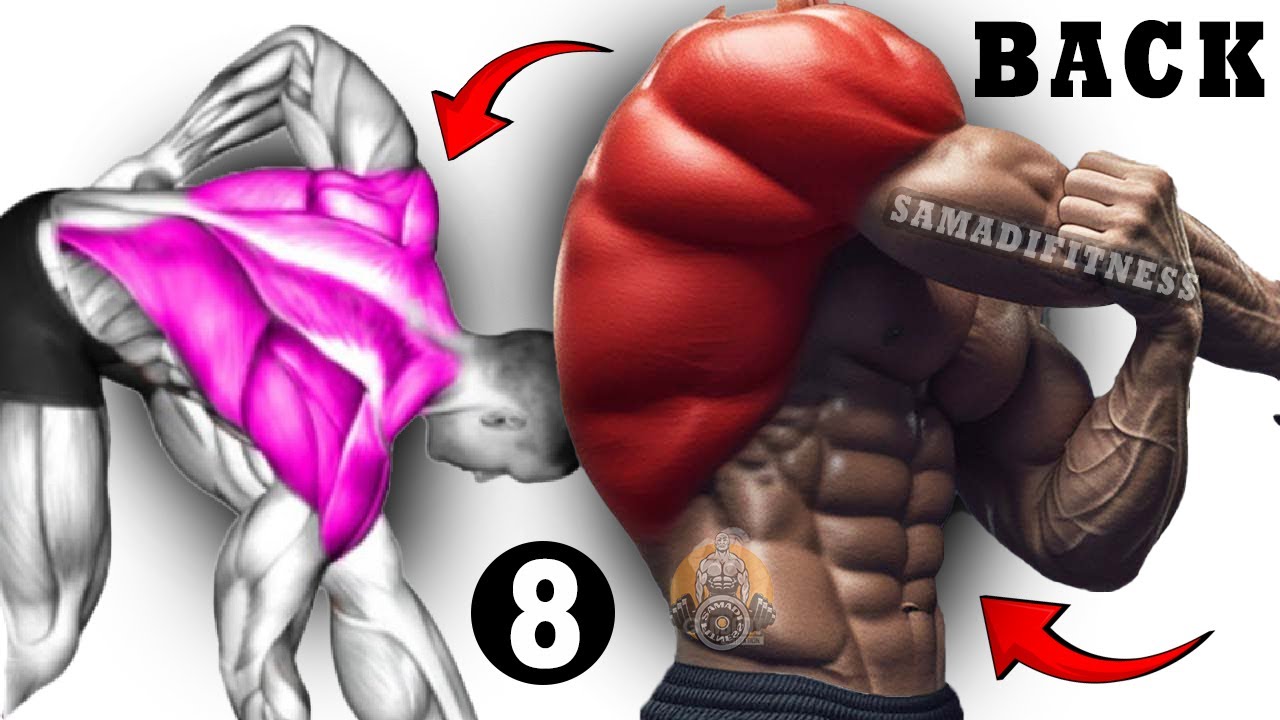8 Quick and Effective Back Workout to Force Muscle Growth - YouTube