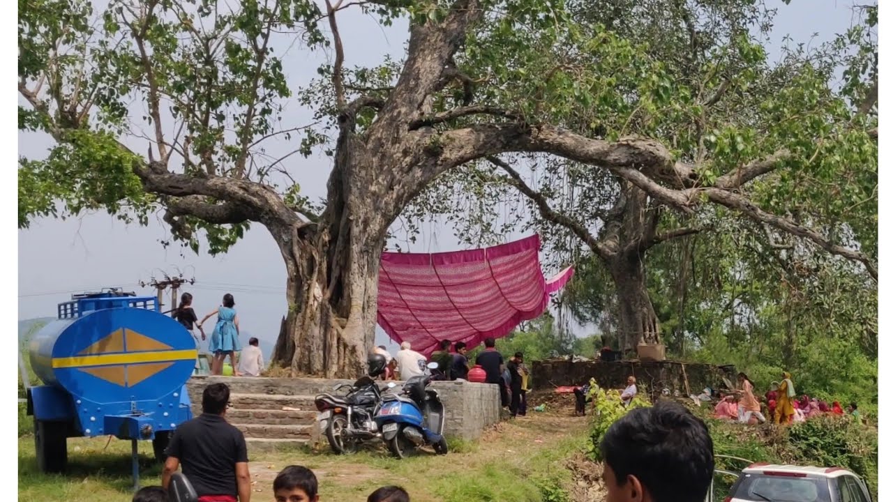 !!BHANDARA IN PATTA BRAHAMANA!! BIJHAR(BARSAR)!!HAMIRPUR!! HP.!! JAI ...