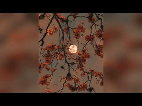 Hyperpop Type Beat - \