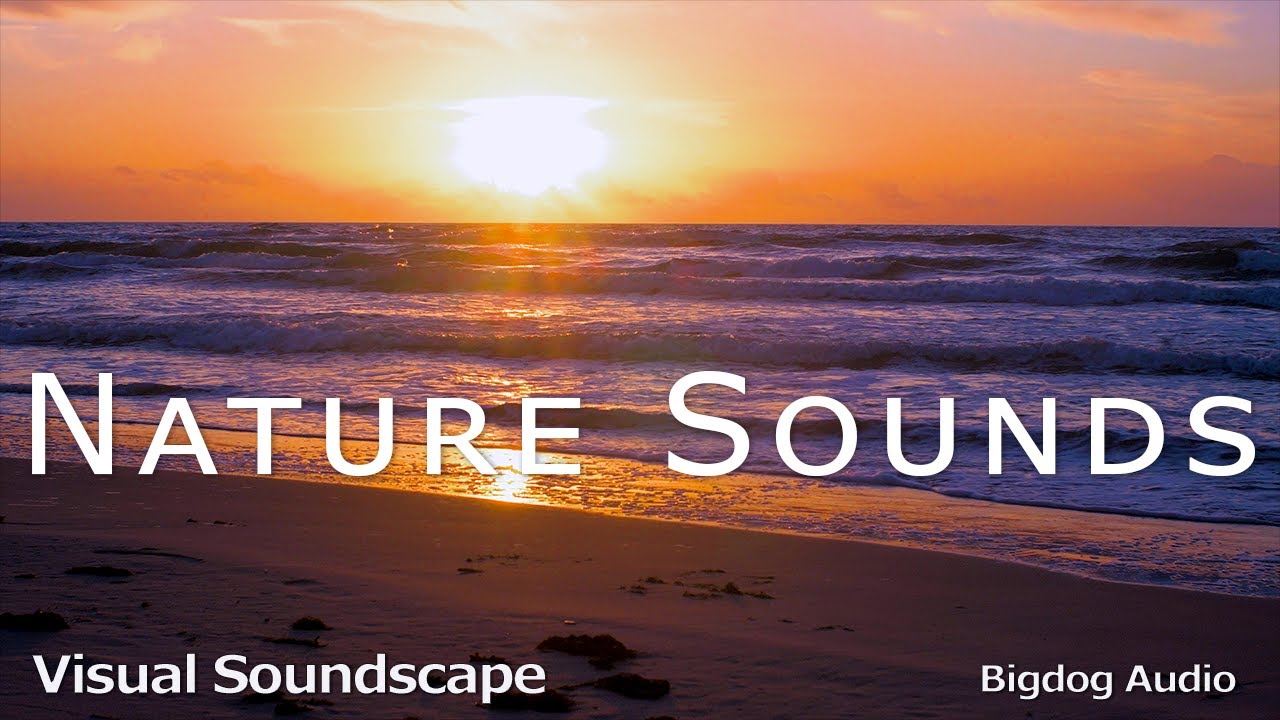 Nature Sounds | Beach | RELAXATION SOUNDS | Visual Soundscape | 4K ...