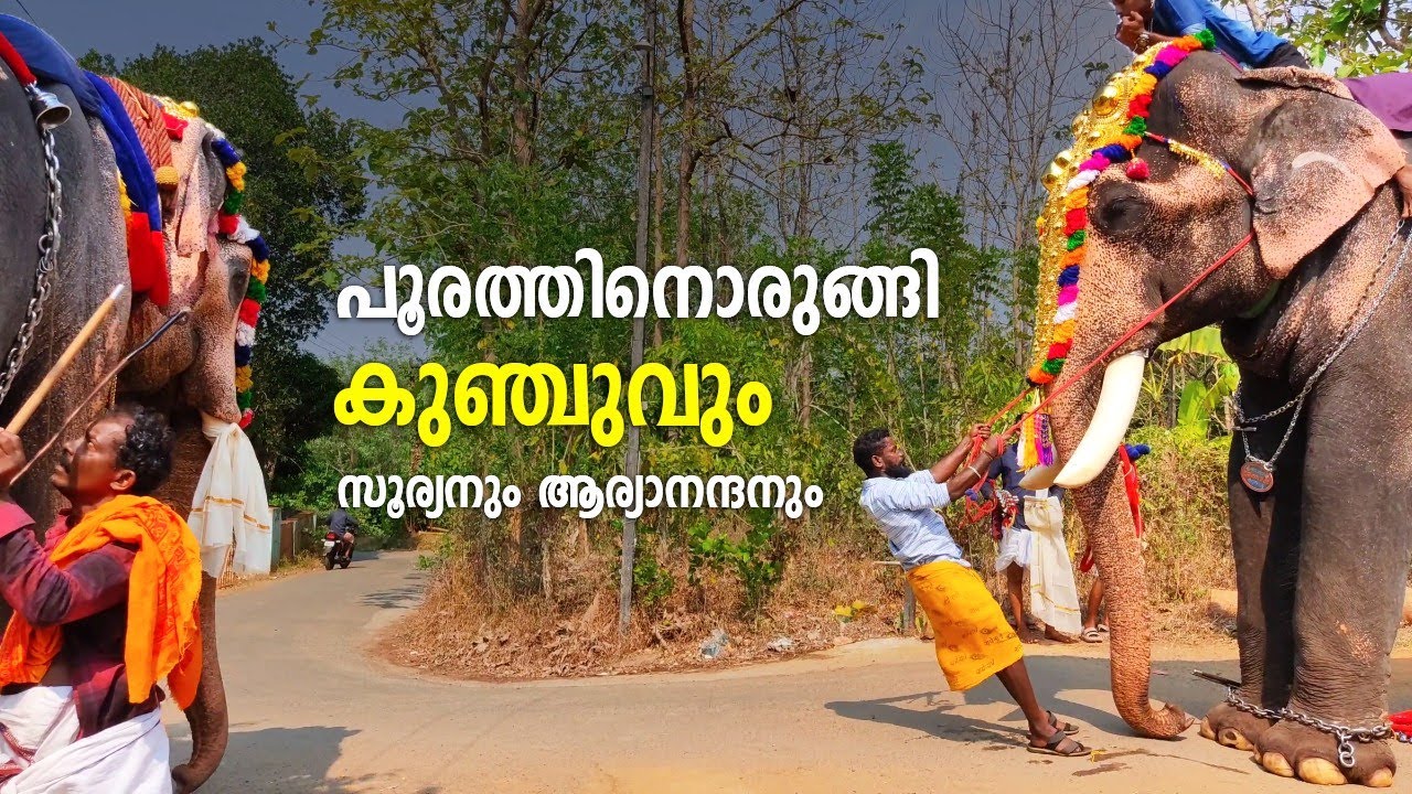 പൂരത്തിനൊരുങ്ങി കുഞ്ചുവും സൂര്യനും ആര്യാനന്ദനും | Ukkens Kunju ...