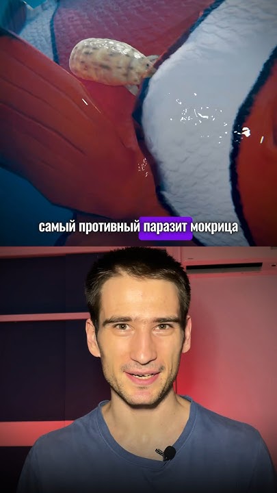 Самый противный паразит🤢 егэ факты огэ биология школа животные