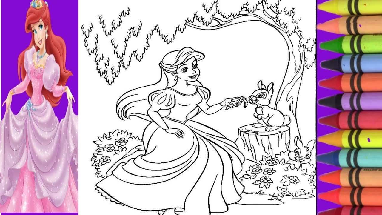 Disney Princess Ariel Coloring Book/How To Colour Princess Ariel step ...