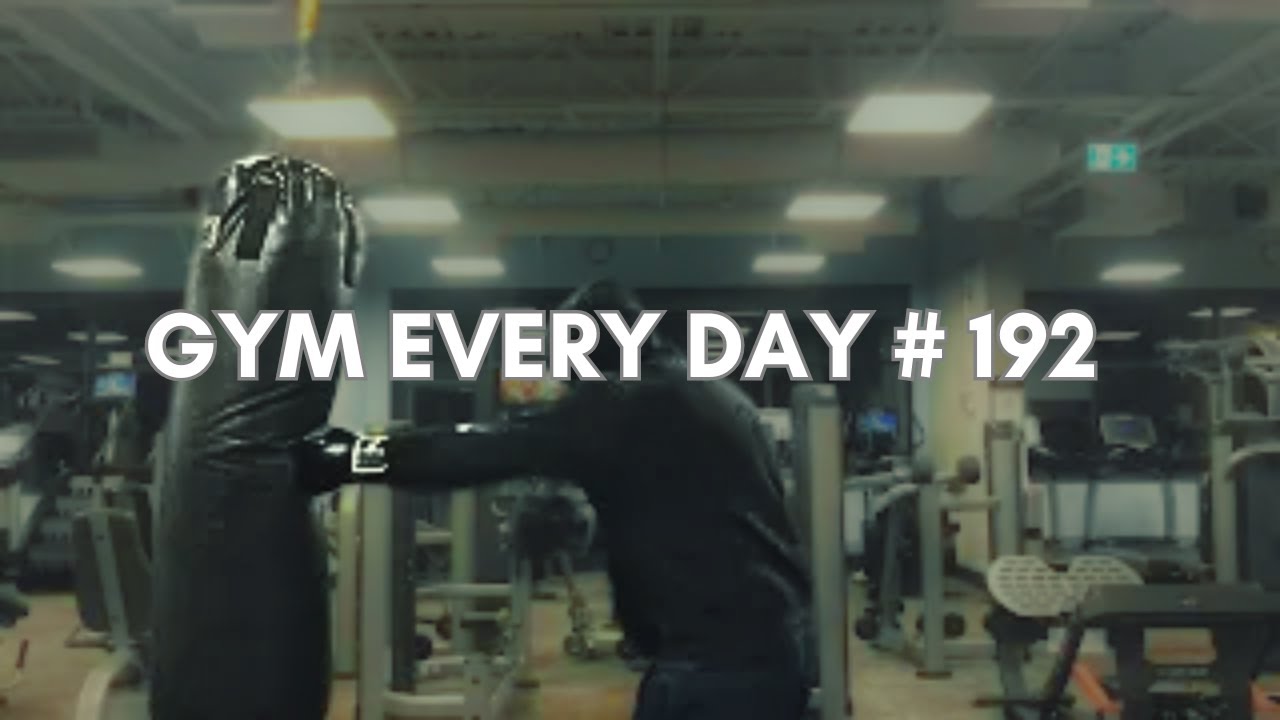 GYM EVERY DAY - DAY 192 | BAGWORK - YouTube