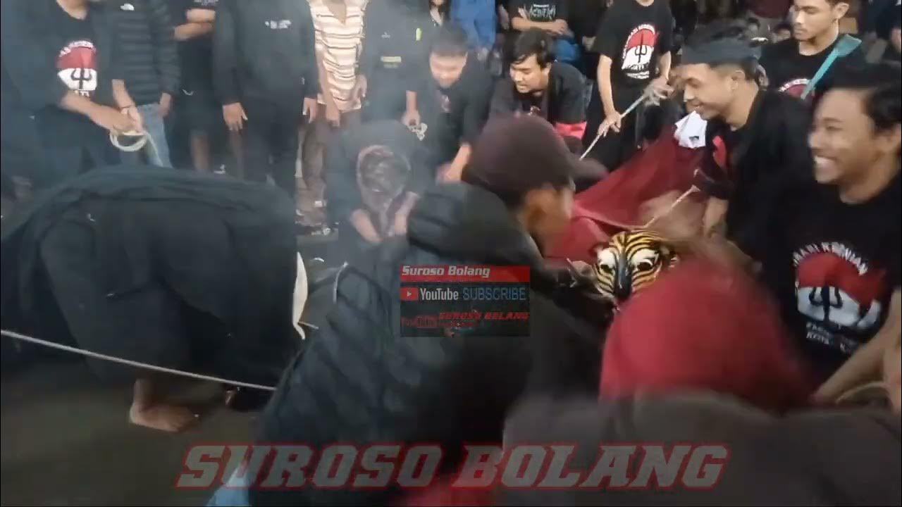 Bantengan jati arum live jl.joyo Suko Merjosari kota malang - YouTube