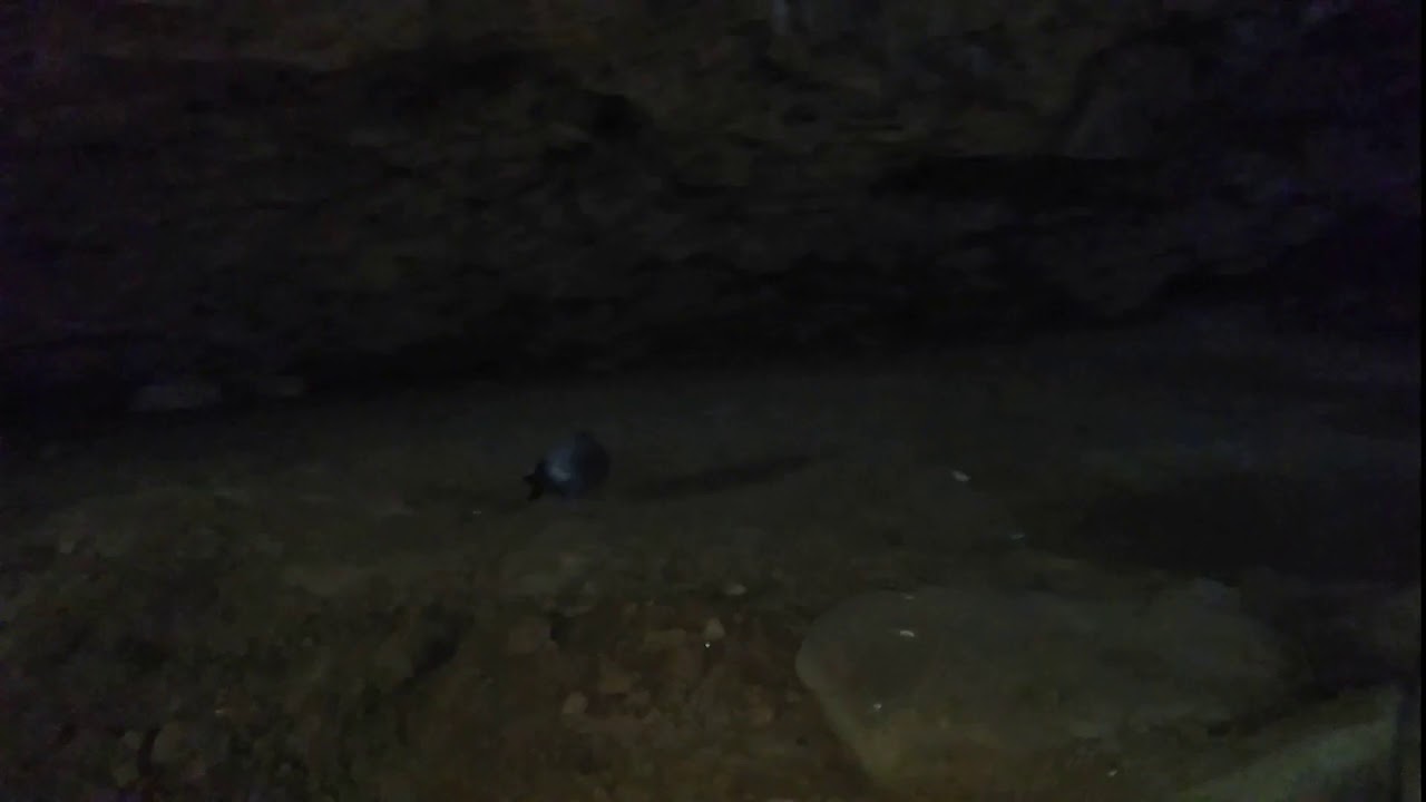 Jambuvan cave in porbandar gujarat india - YouTube