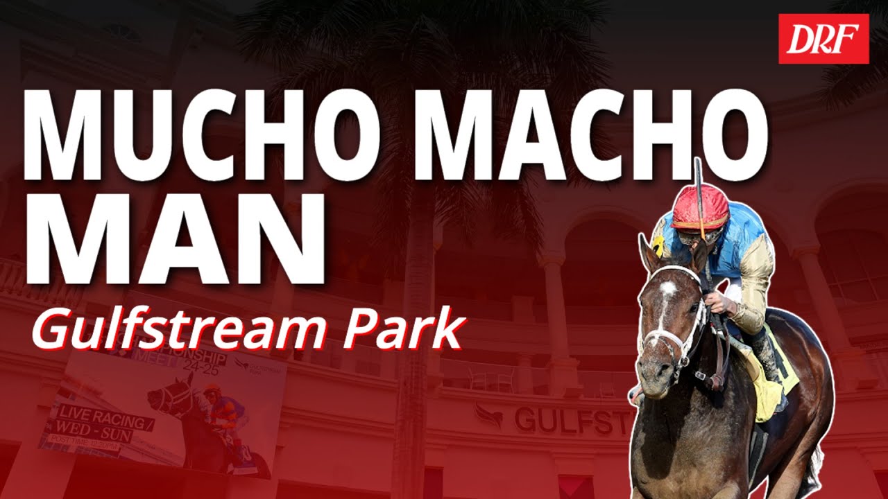 Mucho Macho Man Picks & Analysis @ Gulfstream Park - YouTube