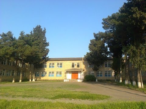 QARAXANLI SON ZENG 2015 (TAM)