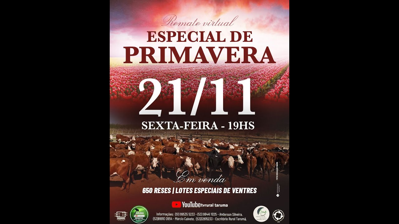 LOTE 98C - 01 VACA - VAZIA - YouTube