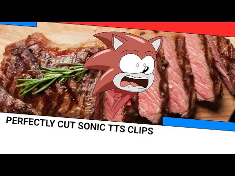 Perfectly Cut Sonic TTS Clips - YouTube