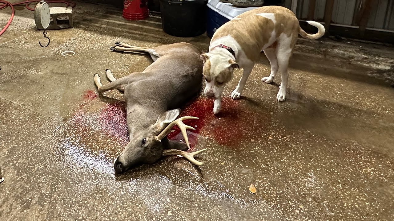 Weekend at the Camp: DOUBLE BUCK KILL - YouTube