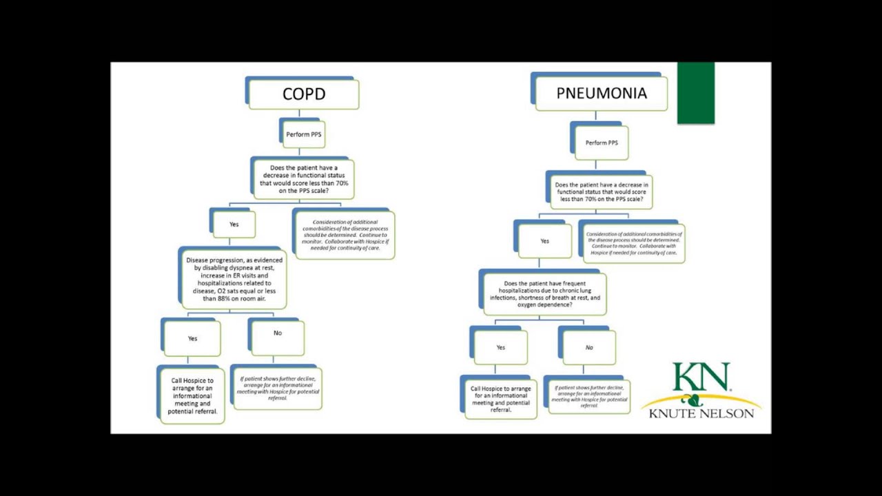 PPS Training PPT - YouTube