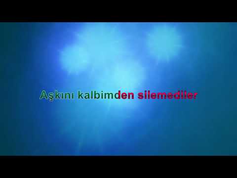 CEYLAN   SİLEMEDİLER