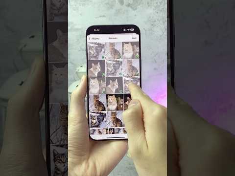 БЫСТРО отправить несколько ФОТО в WhatsApp #apple #iPhone #tips #tricks #technology