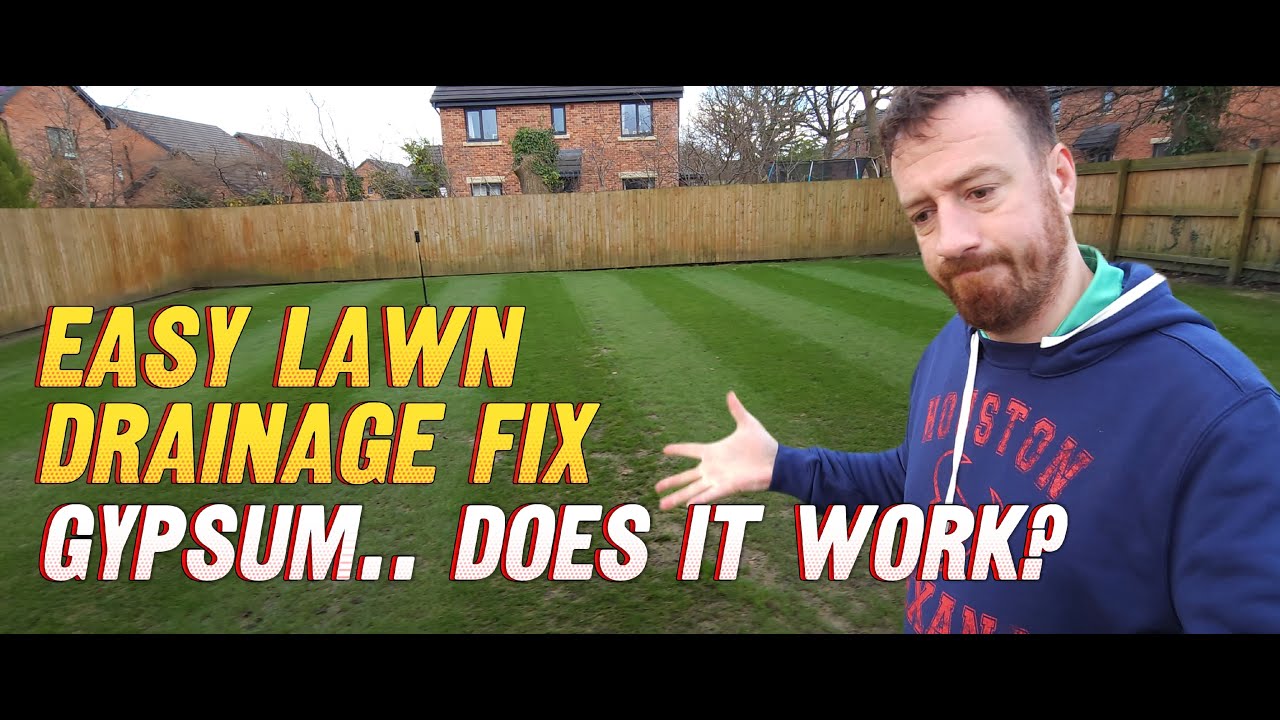 Easy Lawn Drainage Fix?? Liquid Gypsum Results! // Fix Your Lawn ...