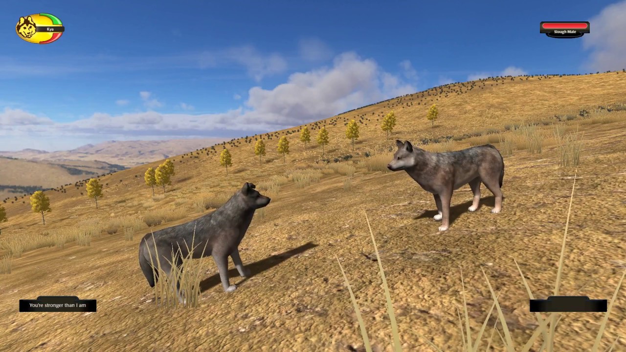 WolfQuest: Return of the Pack | Episode 2- Finding Her Courage - YouTube