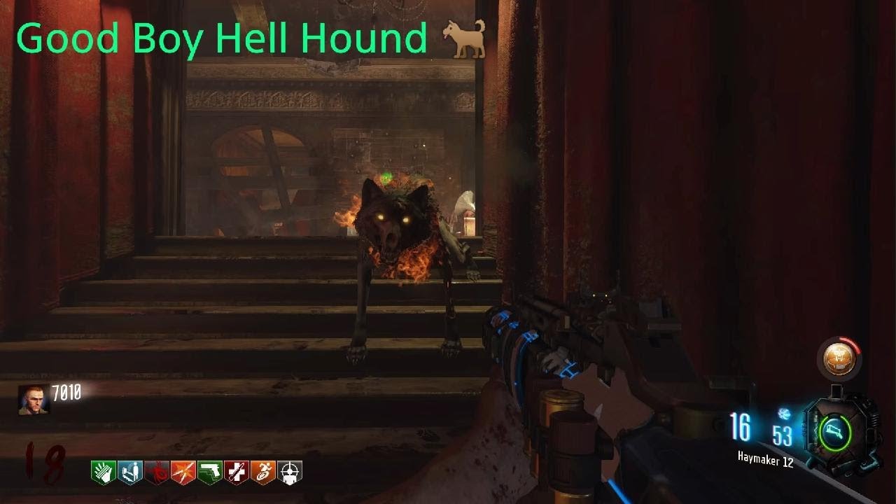 Call of Duty: Black Ops III Zombies Hell Hound Such a Good Boy - YouTube