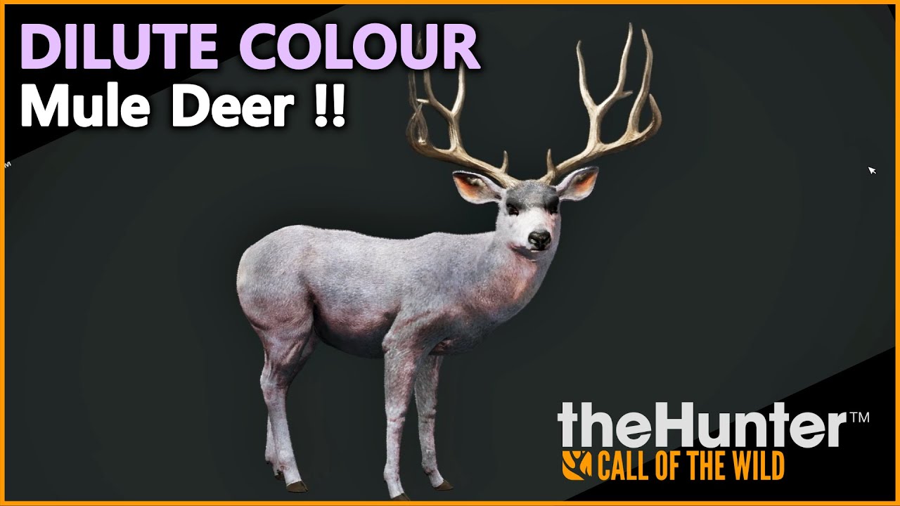 DILUTE MULE DEER IN PARQUE FERNANDO MAP || The Hunter Call of The Wild ...
