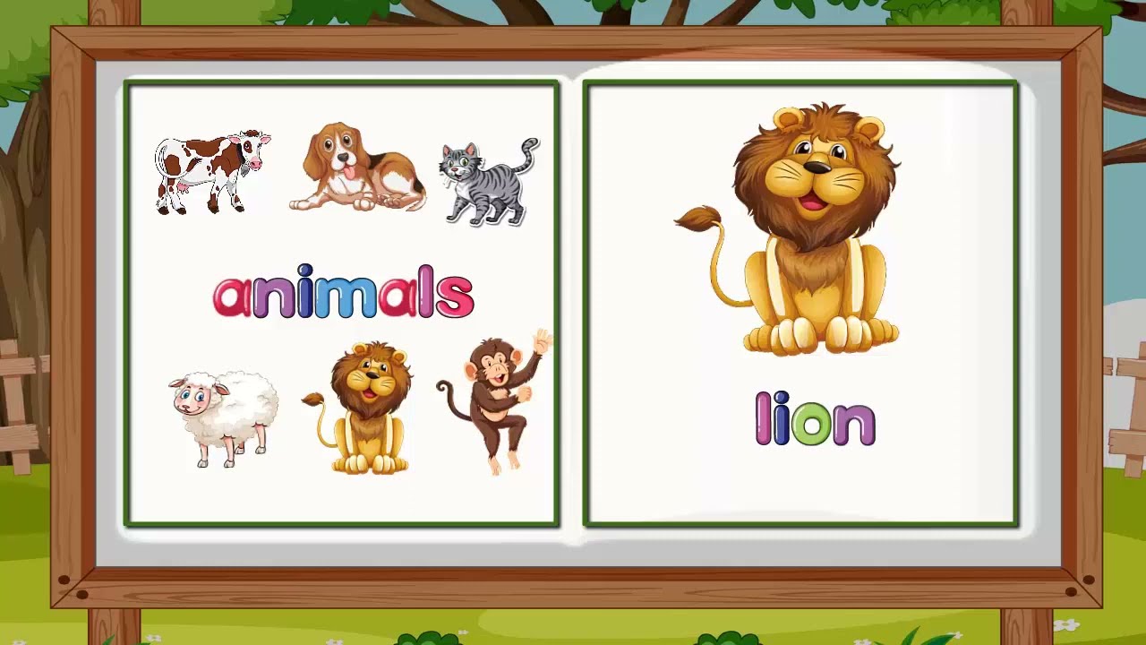 Animals Part 1 - YouTube