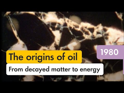 The Origins of Oil | Shell Historical Film Archive