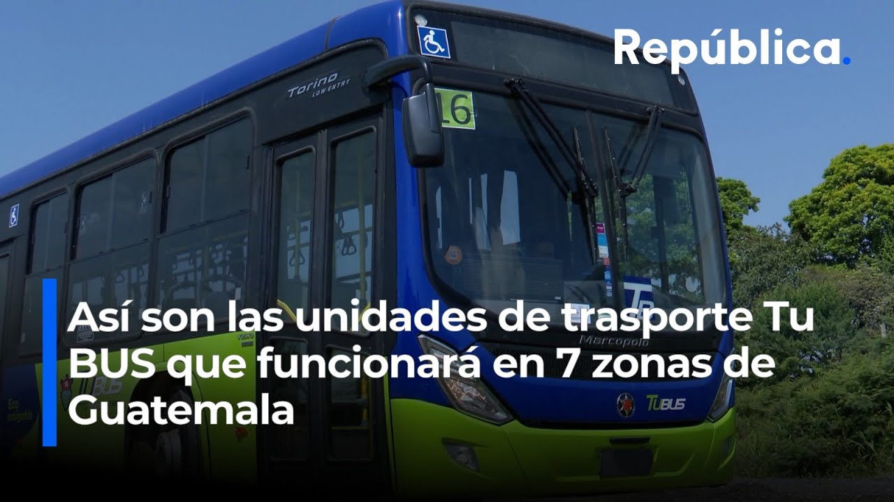 Así son las unidades de trasporte Tu BUS que funcionará en 7 zonas de ...