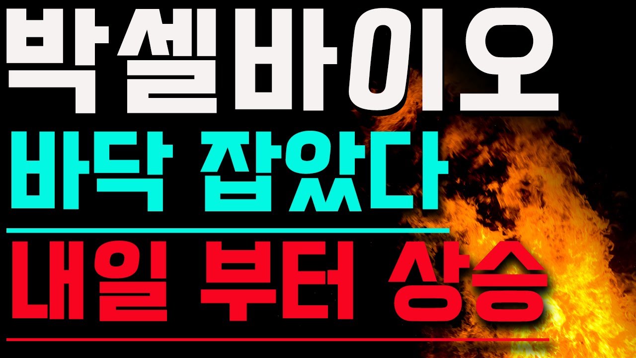 박셀바이오주가전망 박셀바이오 혈액암 치료제 임상 중단 주가 하락 간암치료제 임상결과로 상승 반전 시도하나 박셀바이오 박셀
