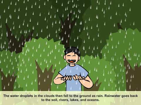 Animation 2.1 - YouTube