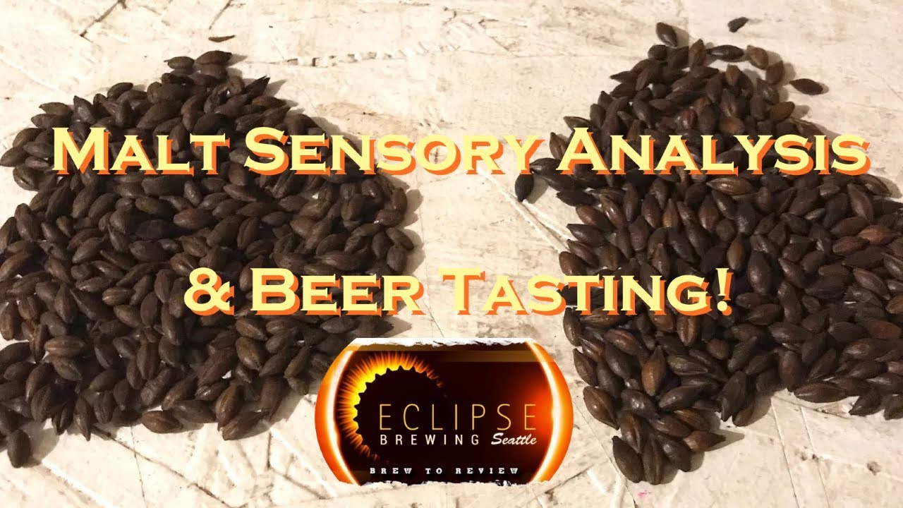 Malt Hot Steep Method and Review Eclipse Brewing Coconut Hefe - HBW ...