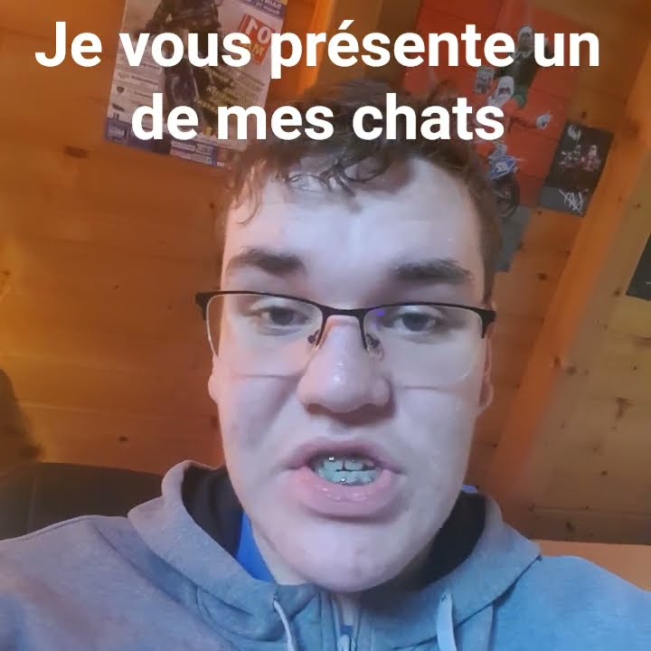 Je vous présente mon chat - YouTube