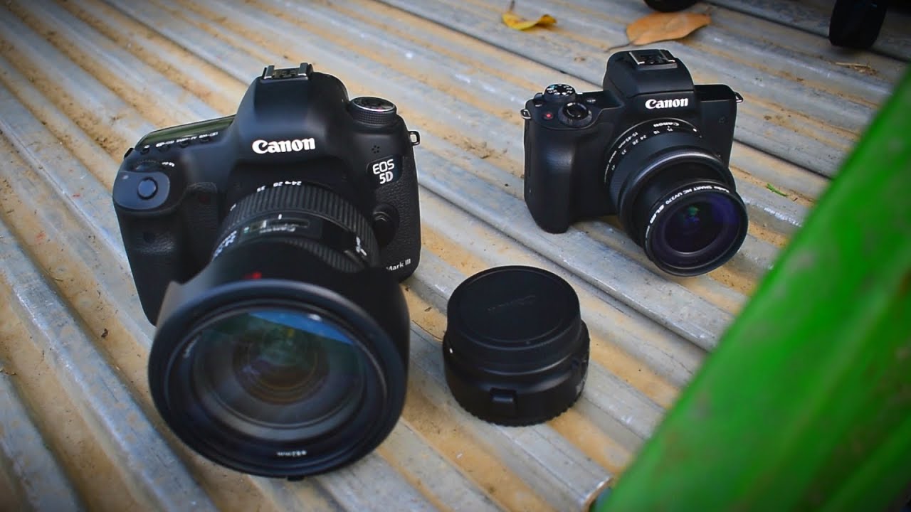 Blur Effect: Full Frame VS Crop Sensor Camera Depth of Field Explained ...