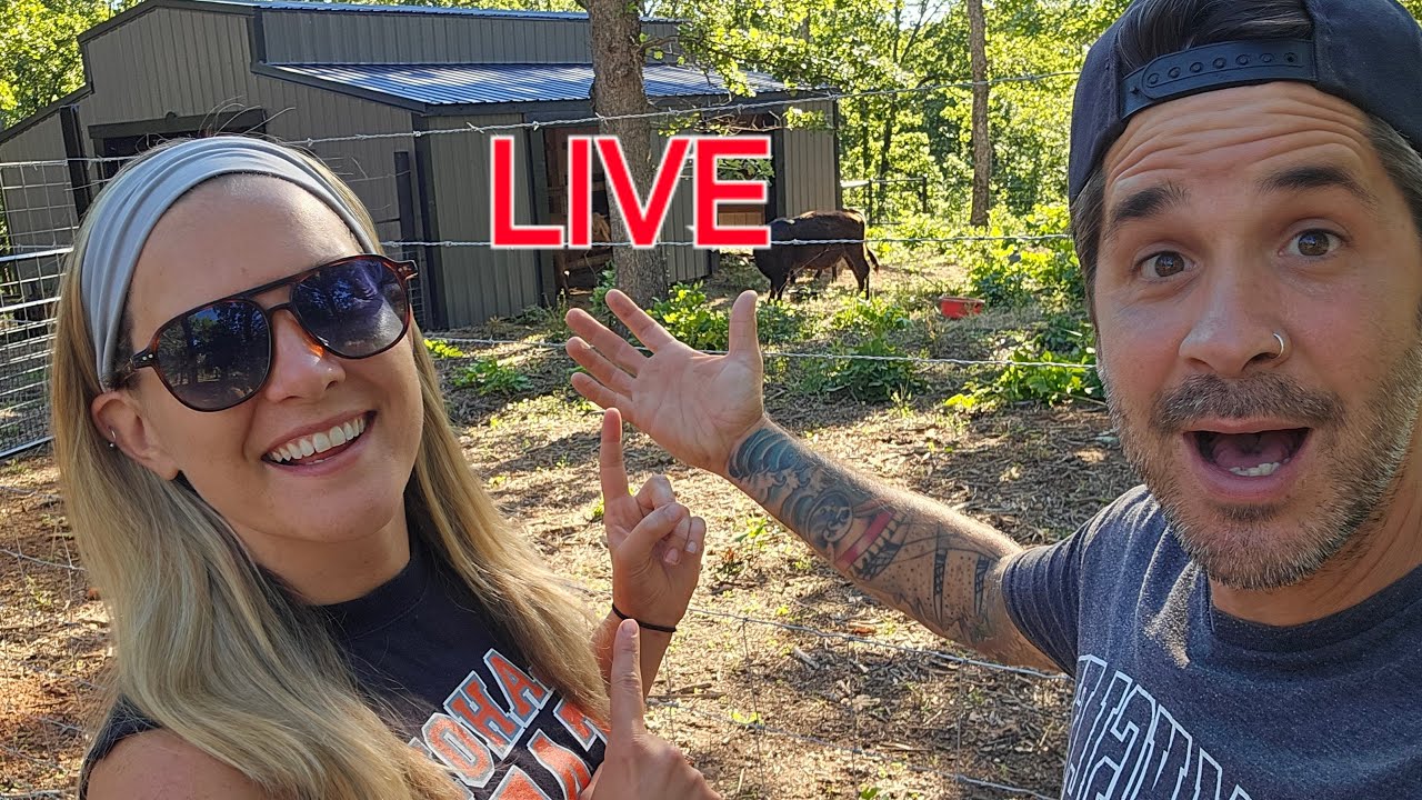 7PM LIVE - This will be the DEATH of Us! - YouTube