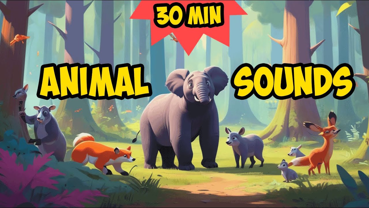 Animal Sounds | 20 Unique Animals | Tiny Tunes - YouTube