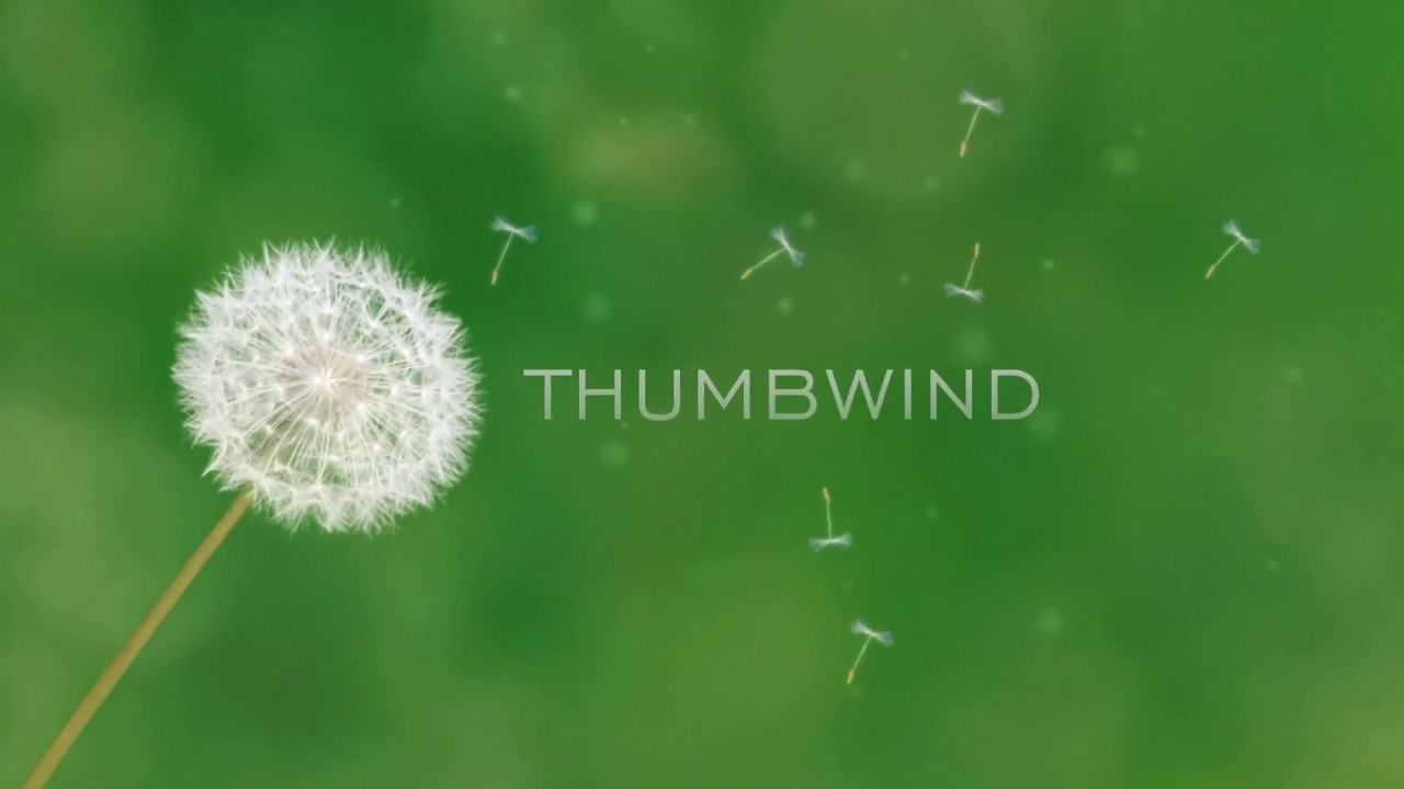 The Best Sites and Things to Do In Michigan's Thumb - YouTube