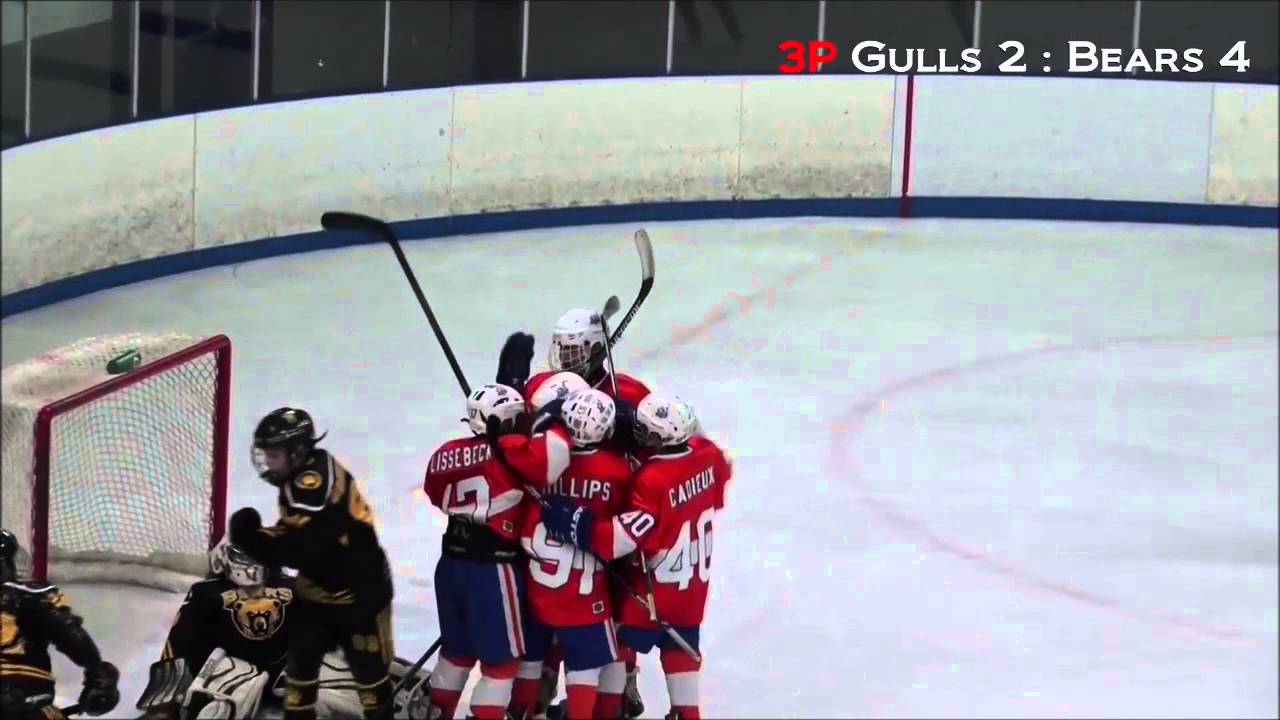 Bears vs Jr Gulls Disallowed Goal - YouTube