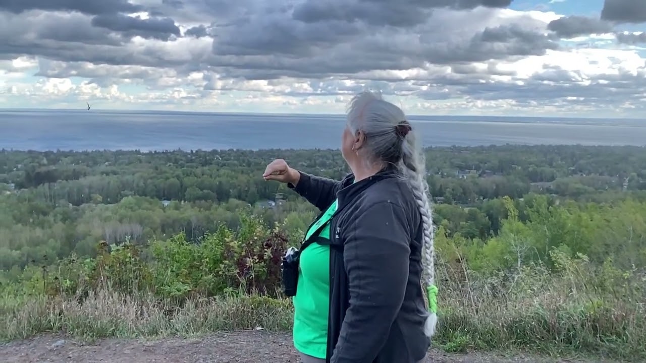Watch a sharp-shinned hawk being released at Hawk Ridge Bird ...