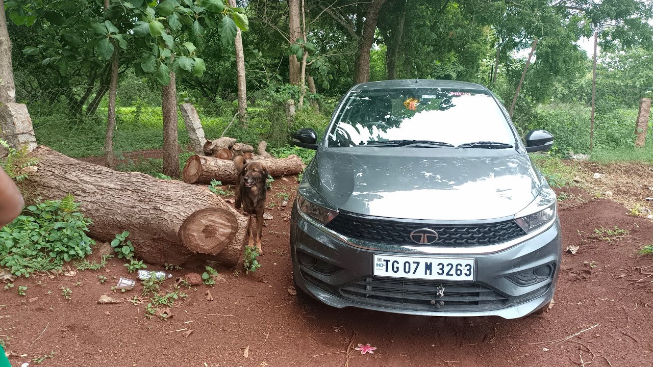 Sumathi.P mini vlogs is live! Hi fnds goodafternoon plz subscribe n support me 🙏🏻😊💞 - YouTube