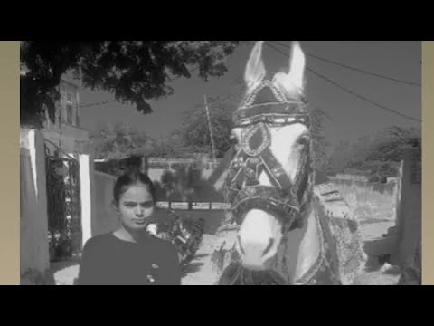 welcome to my live stream 💖 mere live me aap ka most welcome h 💐 khamba ...