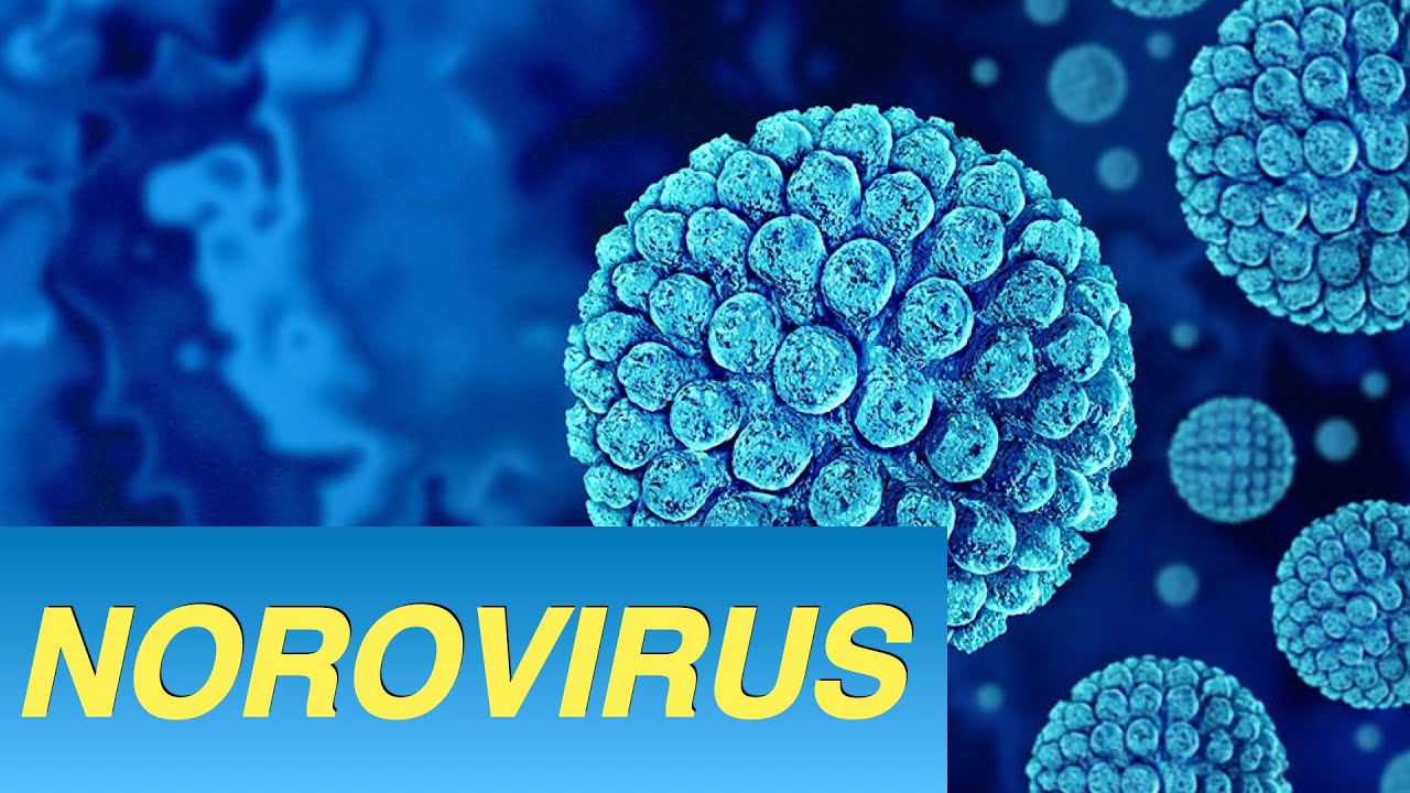Norovirus Cases Surge Across U.S. - New Strain Found - YouTube